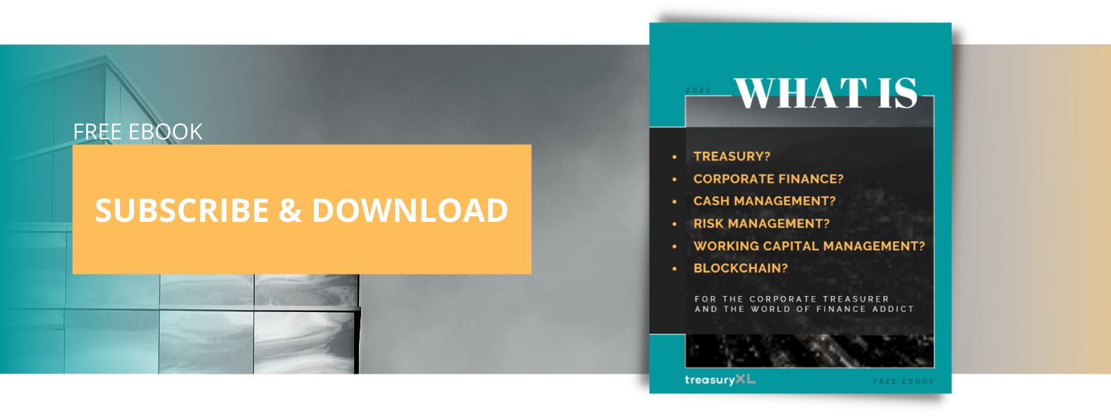 Subscribe and receive your ‘easy-to-read’ eBook, What is Treasury