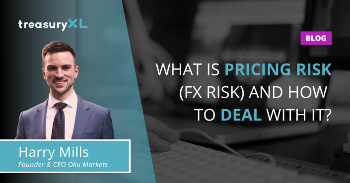 What is Pricing Risk (FX Risk) and how to deal with it?
