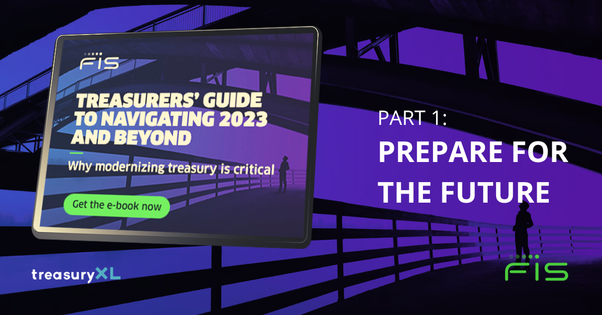 Treasurers' Guide to Navigating 2023 and beyond | e-book FIS