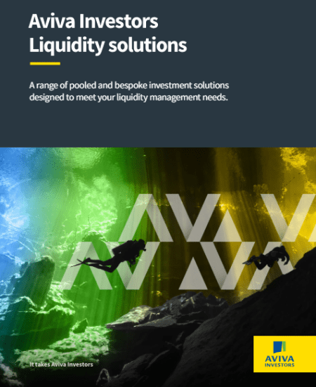 Aviva Investors is the asset management arm of Aviva plc